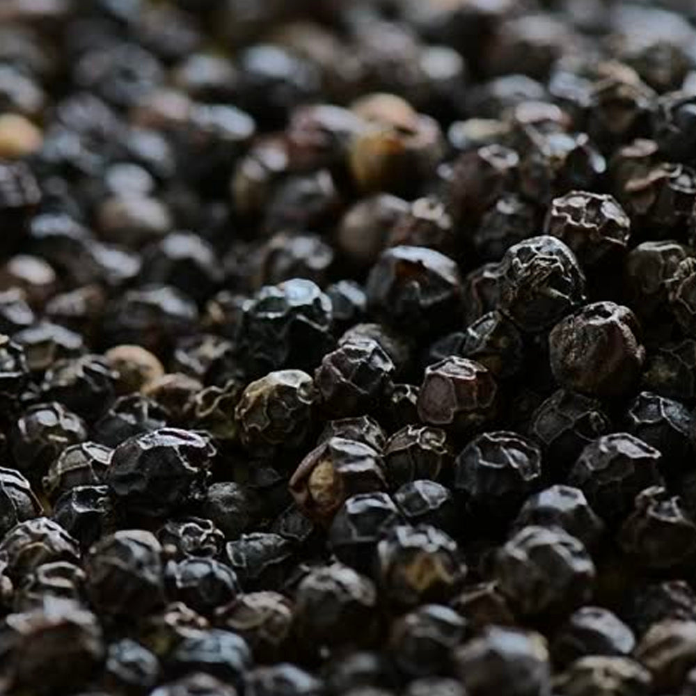 Fizzy Fresh – All Good Scents