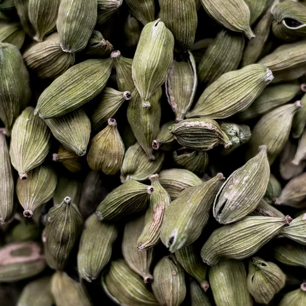 Warm Oud – All Good Scents